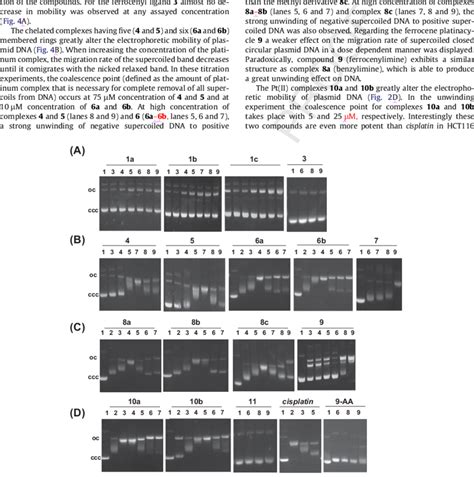 Interaction Of Pbluescript Sk Plasmid Dna 40 Lg Ml With Increasing Download Scientific