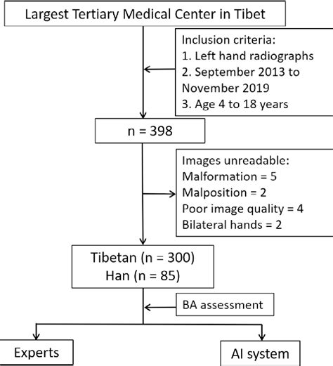 Figure 1 From Performance Of An Artificial Intelligence System For Bone