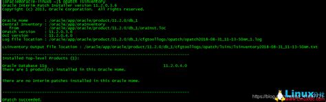 oracle linux 6 9安装和oracle 11 2 0 4 0安装及psu补丁升级 oracle linux6 9安装教程 csdn博客