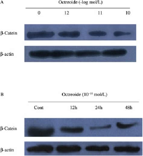 Pictures Of Gene Expression Of Sw480 Cells Detected By Microarray A