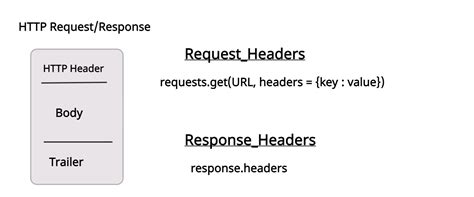 Requests Library In Python