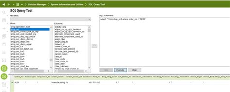 Run Full Sql Queries Directly From Application Ifs Community