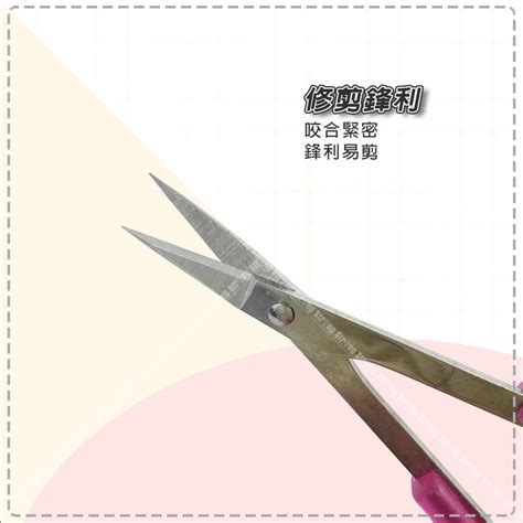 【奇暢】多功能小剪刀 小直剪 彎剪 安全剪 小剪刀 指甲剪刀 美容剪刀 修眉剪刀 鼻毛剪 指甲剪 修眉【f231】 露天市集 全台最大