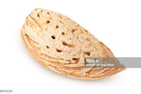 흰색 배경 클리핑 패스 필드의 전체 깊이에 고립 된 셸에서 아몬드 너트 0명에 대한 스톡 사진 및 기타 이미지 0명 개체 그룹 건강한 생활방식 Istock