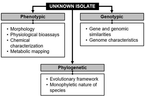 Chapter 5 Evolution And Taxonomy Bs2002 Microbiology