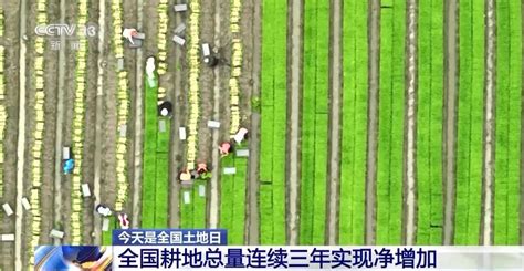 严守耕地红线！全国耕地总量连续三年实现净增加澎湃号·政务澎湃新闻 The Paper