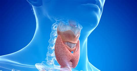 When To Worry About Thyroid Nodules Size Symptoms And More