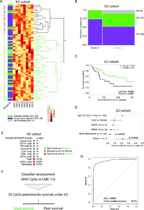 Medecom Reference Free Dna Methylome Based Tumor Deconvolution And