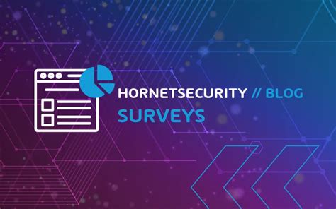 What Is A Sandbox Environment