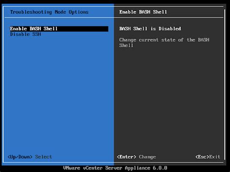 Virtualization The Future Vcsa Aka Vcenter Server Appliance 60 Dcui And Vcsa Bash Shell Step