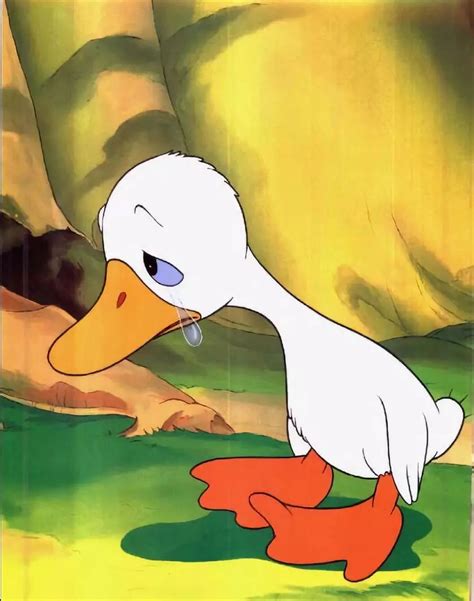 绘本故事丨丑小鸭相貌