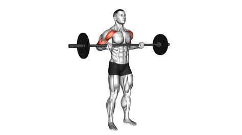 Cable Drag Curl Ultimate Guide And Tips