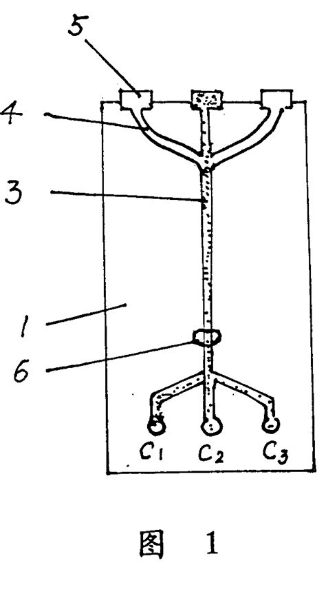 Micro Flow Control Chip Detecting System For Flowing Cell Detection Eureka Patsnap