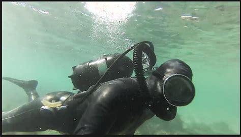 Scuba Album Image Thisvid Tube