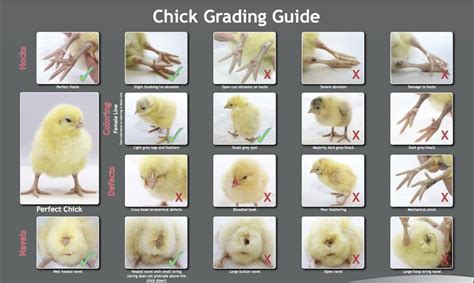 Dr Khuzaima Rasool Posted On Linkedin