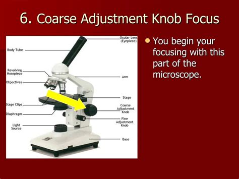 Ppt Discovering Microscopes Types Parts And Uses Powerpoint