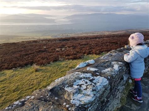 Premium Photo Woman Looking At Landscape