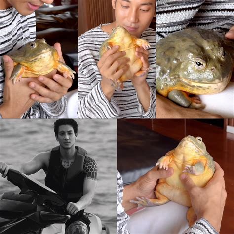 Myanmar သူမွေးထားတဲ့ ဖားပြုတ်ကြီးကို ချစ်လွန်းလို့ စိတ်ညစ်အောင