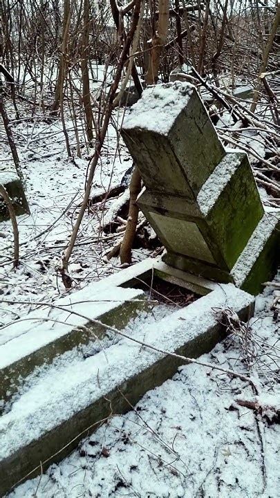 Забутий цвинтар у Вінниці кладовище вінниця цвинтар руїни історіяукраїни україна історія