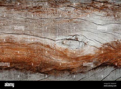 Old Weathered Rustic Wood Texture With Knot Stock Photo Alamy