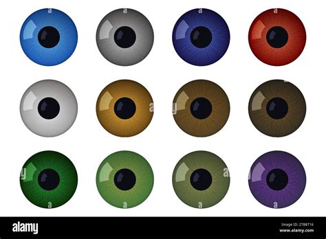 Realistic Human Pupils Vector Illustration Design Stock Vector Image