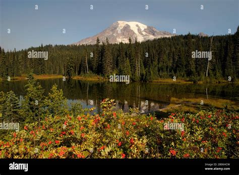 Usa Washington State Mount Rainier National Park Reflection Lakes