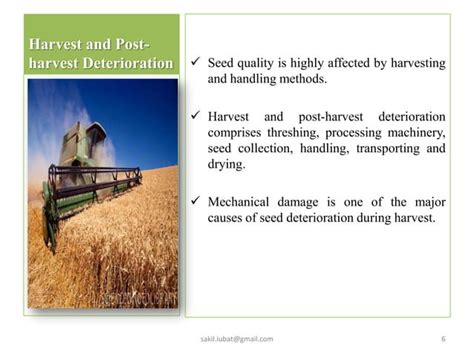 Seed Deterioration And Enhancement