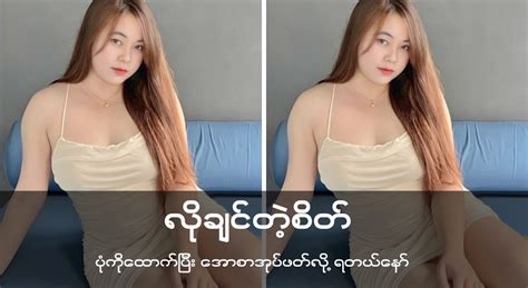 လိုချင်မိတဲ့စိတ် ဖောင်းဒိုင်းစာအုပ် အပြာစာအုပ် အောစာအုပ်များ