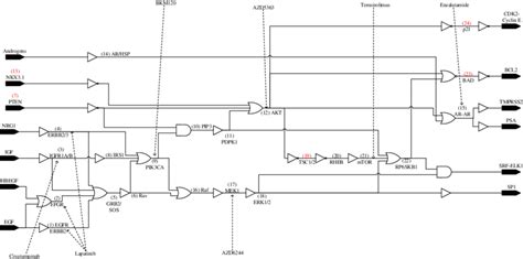 Boolean Model Combinational Circuit Model Of Prostate Cancer Signaling