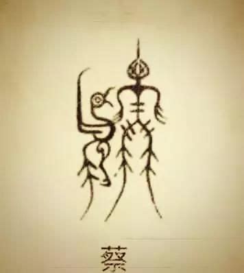 关于蔡姓氏的来源 闪电鸟