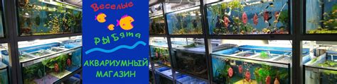 "Веселые РЫБята". Рыбки и аквариумы в Таганроге. | Аквариумы ...