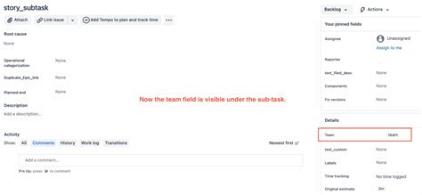 Team Field Is Not Visible In The Subtask Issue View Screen Jira