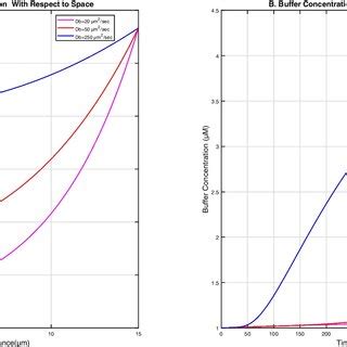 Calcium Dynamics For Different Values Of Calciums Diffusion