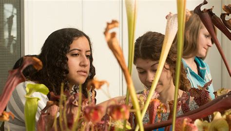 Research Project Looks To Increase Women And Underrepresented