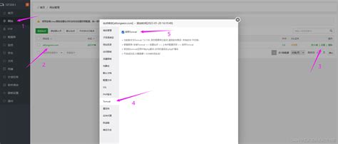 阿里云轻量服务器下>安装宝塔面板>安装使用tomcat服务器>通过公网ip地址>直接访问网站目录下文件win安装宝塔面板同时安装iis和 阿里云轻量服务器下>安装宝塔面板>安装使用tomcat服务器>通过公网ip地址>直接访问网站目录下文件win安装宝塔面板同时安装iis和
