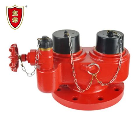2 Way Breeching Inlet Valve With Inbuilt Check Valve And Drain