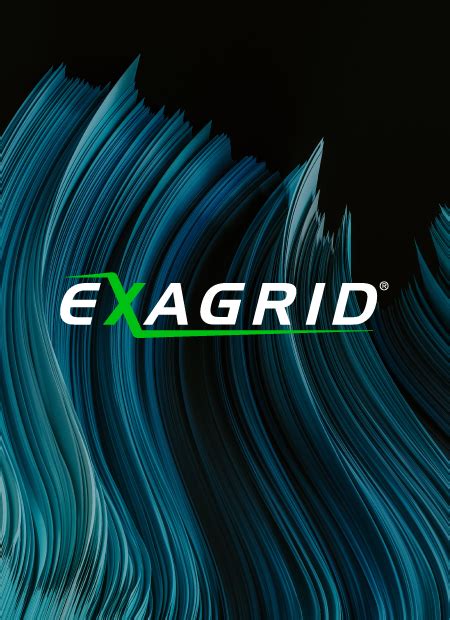 Exagrid
