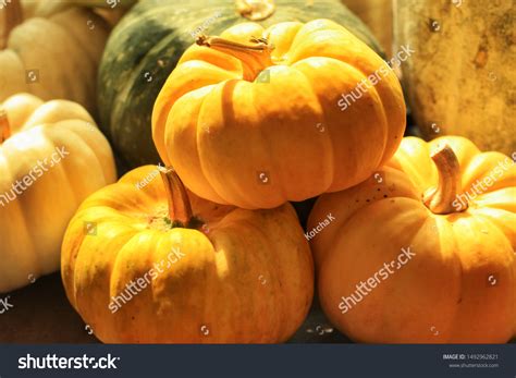 5 Imágenes De Vegeta Mini Imágenes Fotos Y Vectores De Stock