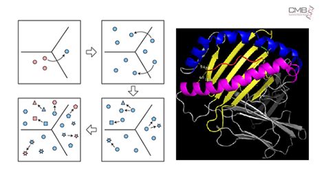 Center Of Excellence In Computational Molecular Biology Research Chula