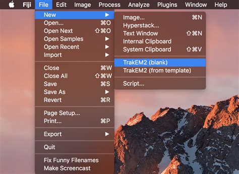 Manually Annotate In Fiji