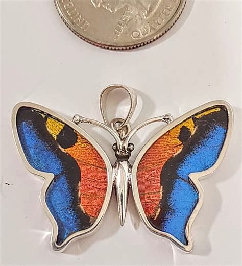 Butterfly Wing Jewelry Real Butterflies Butterfly Pendants Butterfly