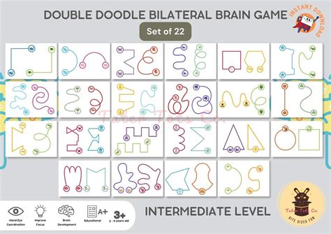 Double Doodle Bilateral Brain Game Intermediate Level For Cognitive Skills Training Set Of