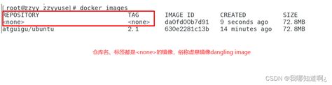 尚硅谷docker学习笔记docker尚硅谷笔记 Csdn博客