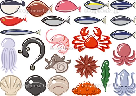 シンプルな線画の魚介類 シーフード カラーイラストセット 195270876 イメージマート