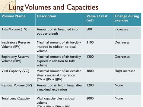 ppt lung function powerpoint presentation free download id 2459873