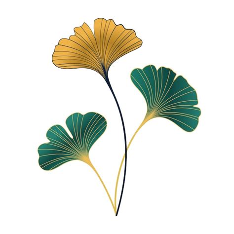 Premium Vector Simple Vector Design Of Ginkgo Leaves On White Background