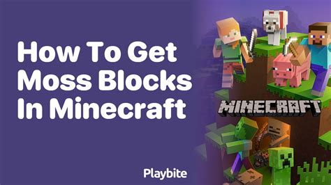 How To Get Moss Blocks In Minecraft Playbite
