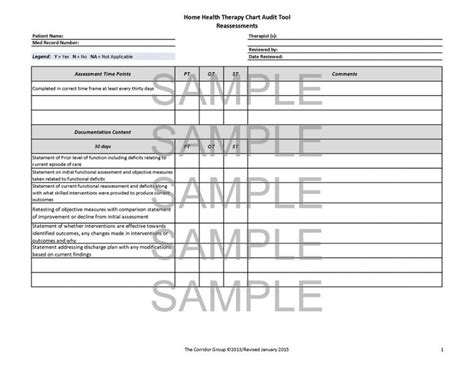 Medical Chart Audit Software At Alannah Macquarie Blog