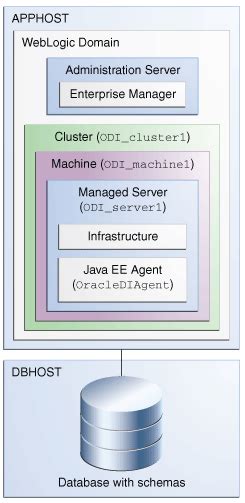 Planning The Oracle Data Integrator Installation
