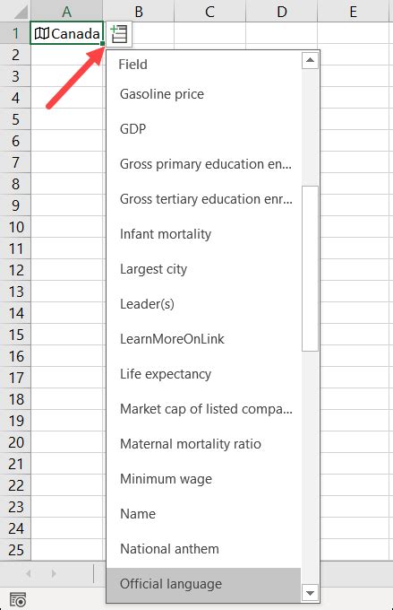 how to use the built in geography feature in microsoft excel